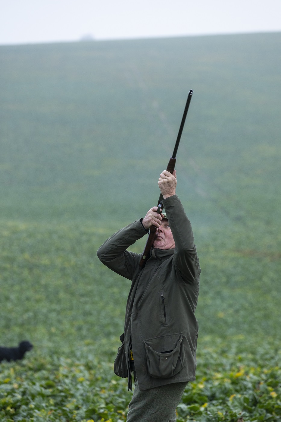 Gallery - Traditional Partridge Game Shooting near Newmarket on ...