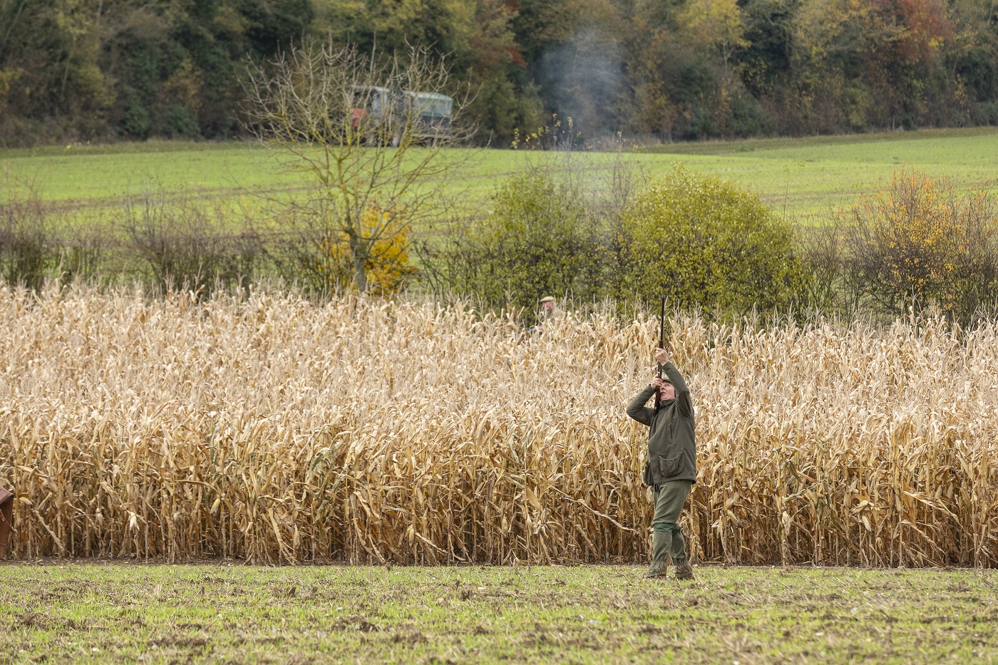 Gallery - Traditional Partridge Game Shooting near Newmarket on ...