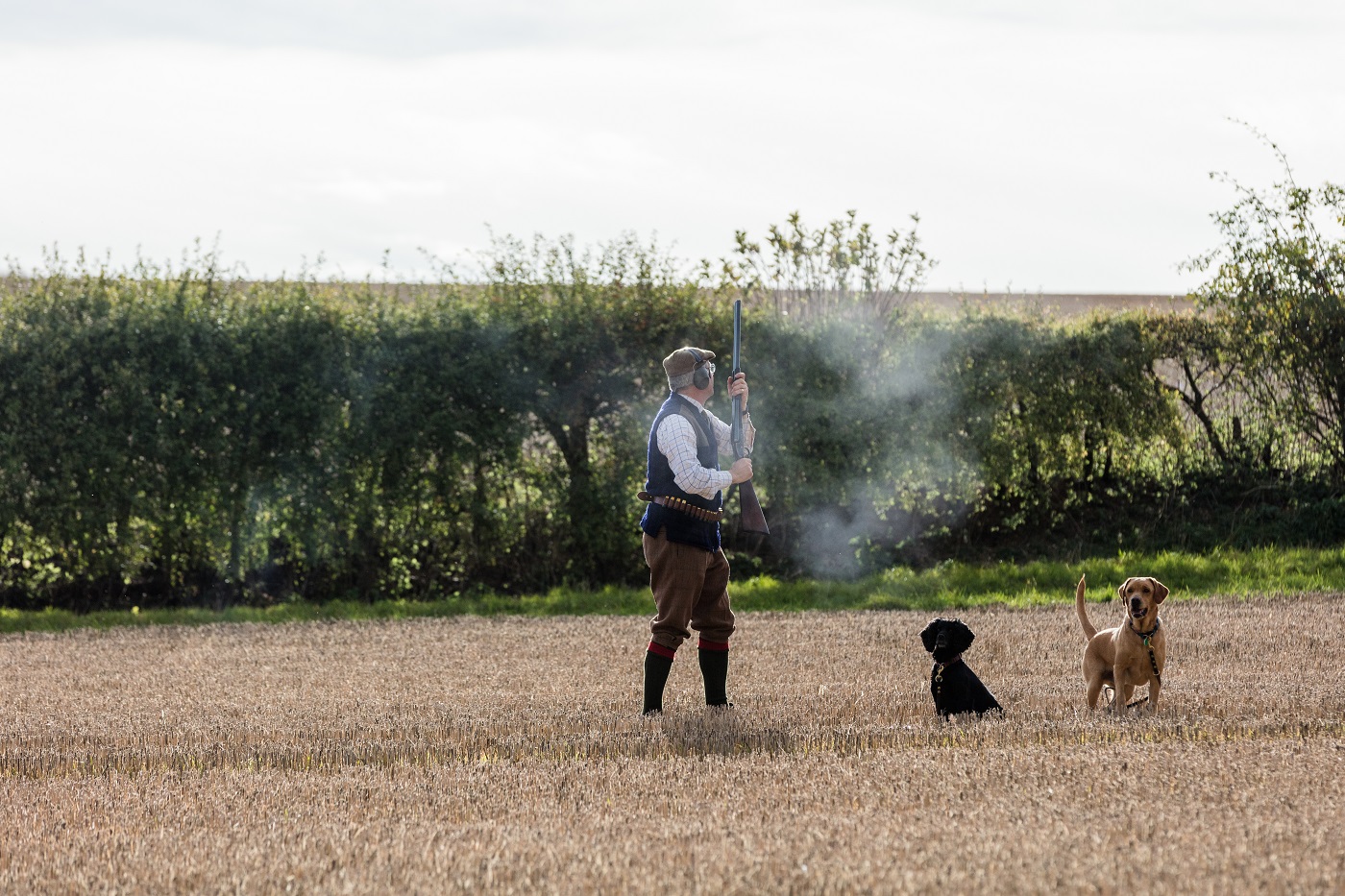 Gallery - Traditional Partridge Game Shooting near Newmarket on ...